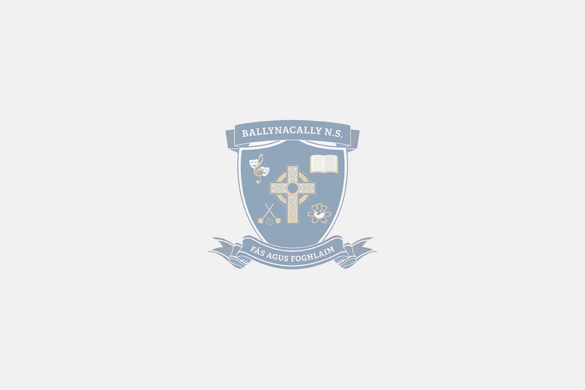 Home - Ballynacally National School